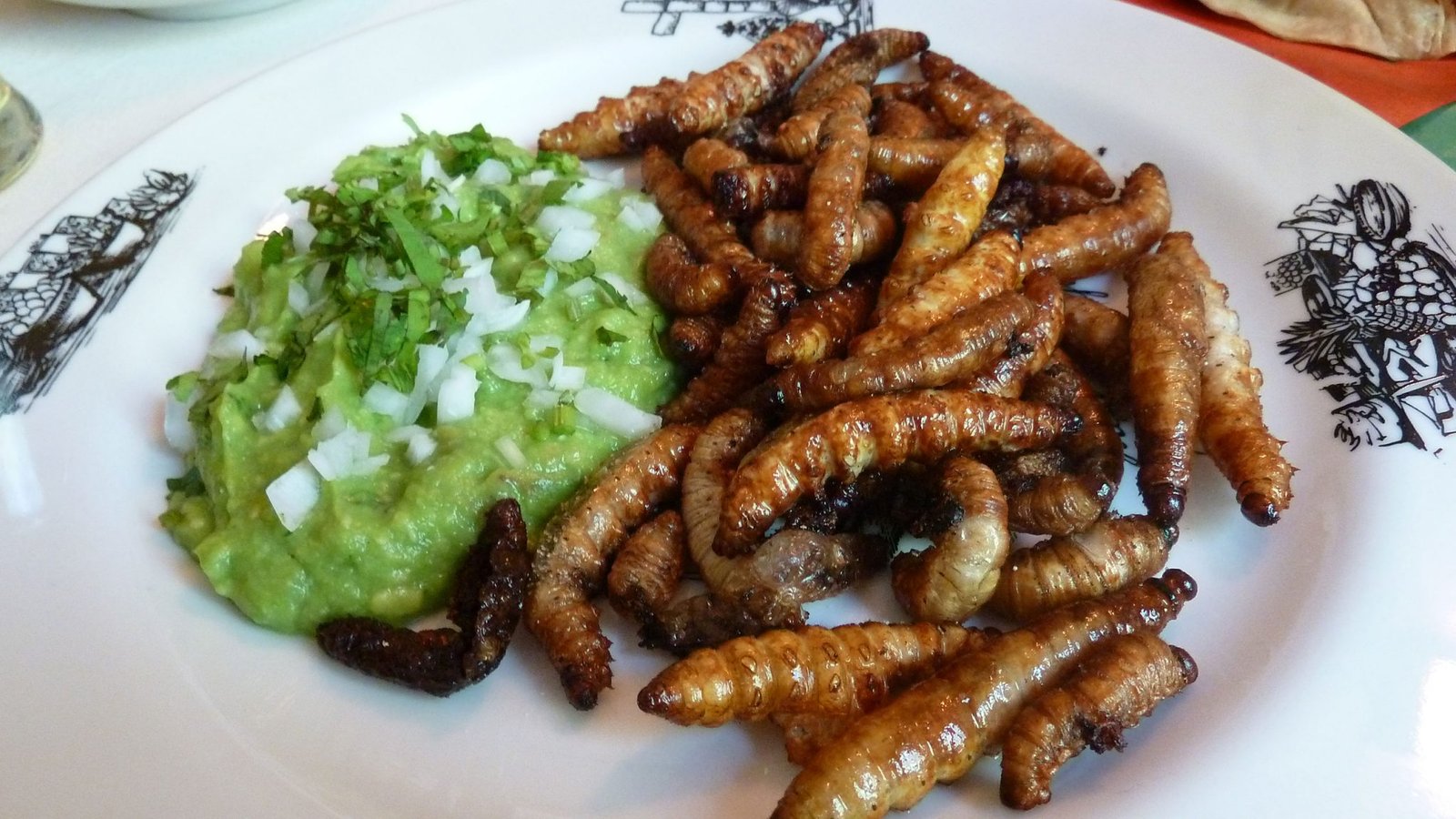 🥇 8 comidas EXÓTICAS MEXICANAS que te sorprenderán | BMX