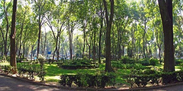 🥇 Parques en CDMX: 15 mejores y bonitos en 2025 | Be México